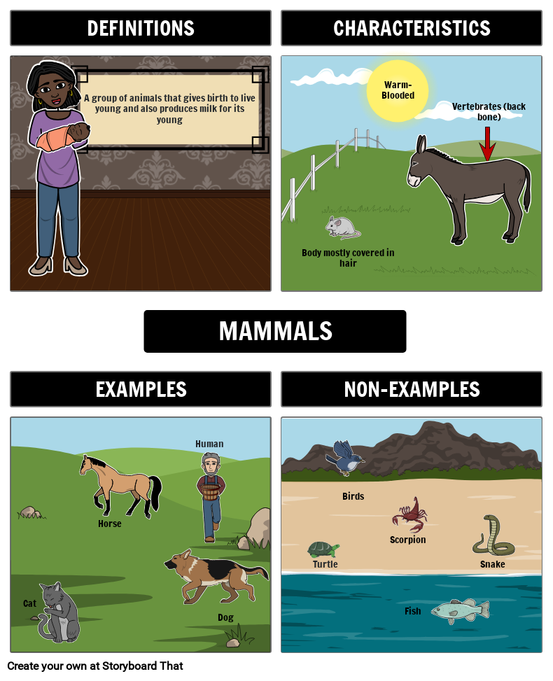 Frayer Model Template Examples Activity Suggestions