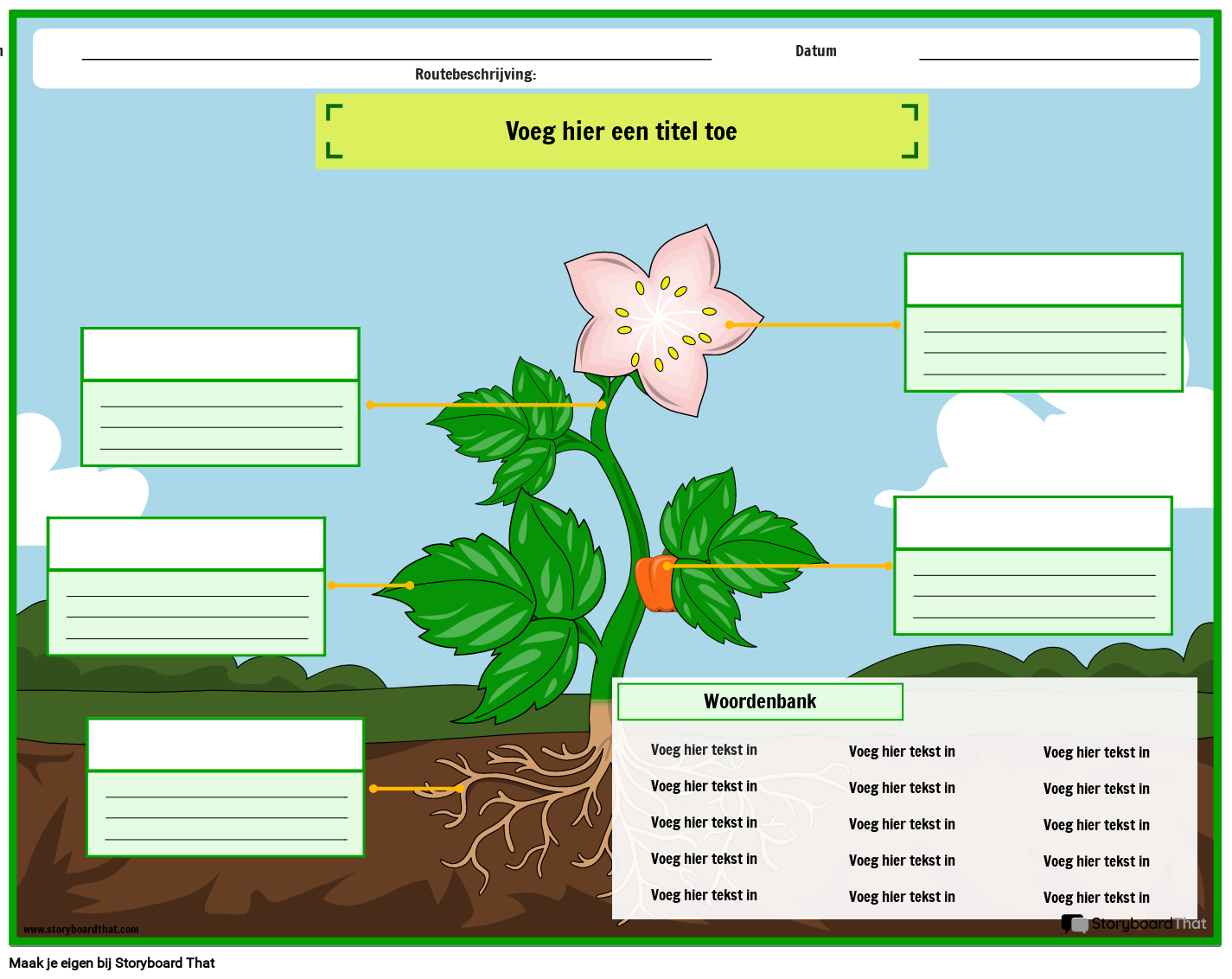 Onderdeel van het Werkblad Planten en Haar Functies