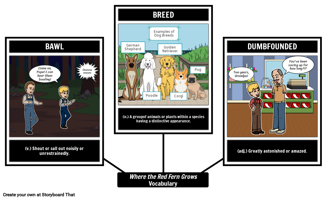 Waar de Rode Varen Groeit Woordenschat Storyboard