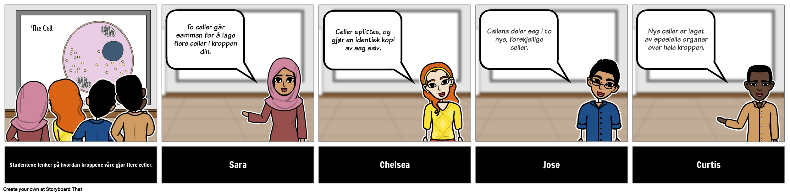 Diskusjon Storyboard - HS-Cell Division Storyboard