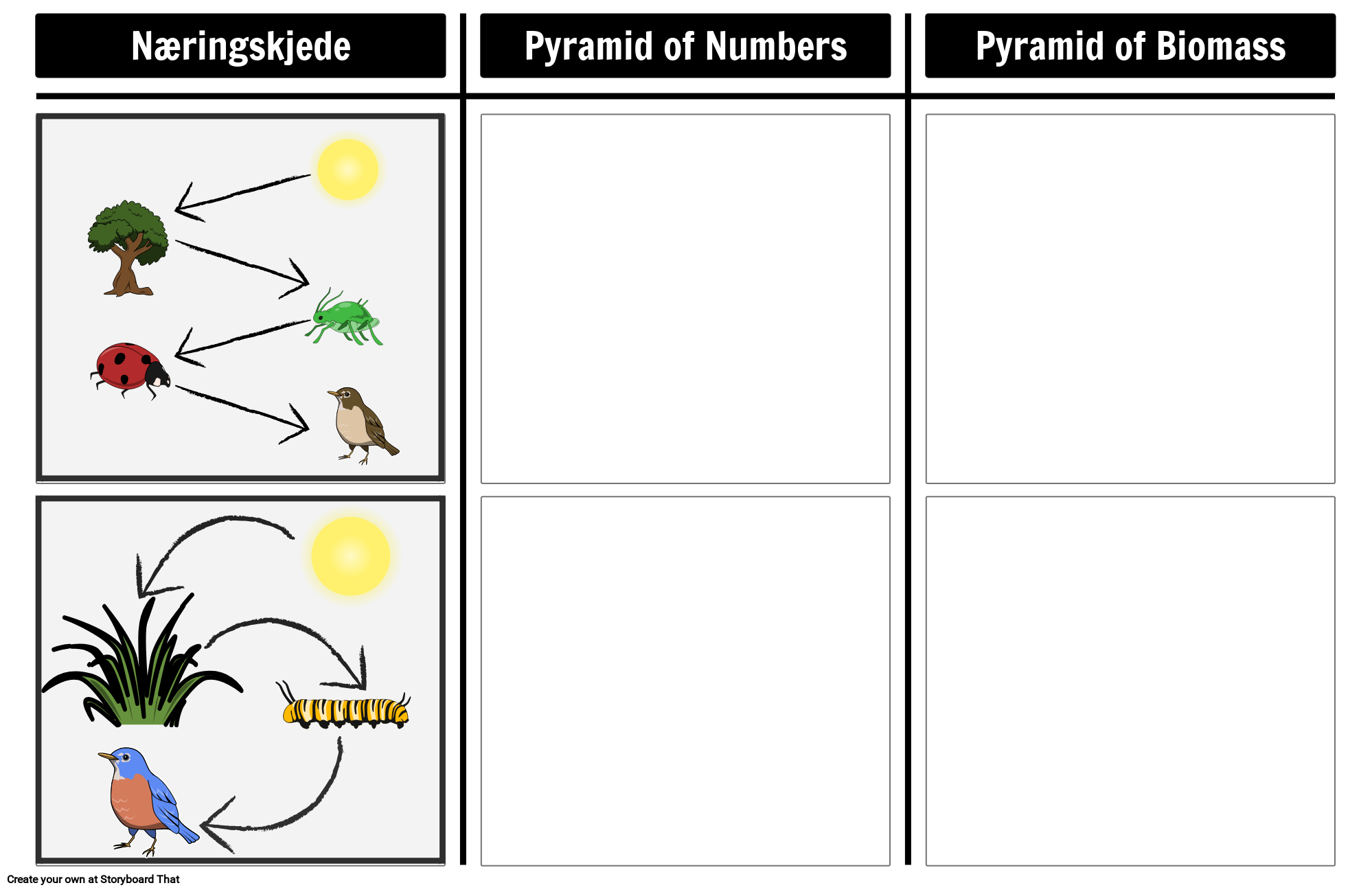 Pyramid Of Numbers And Biomass Storyboard Av No Examples