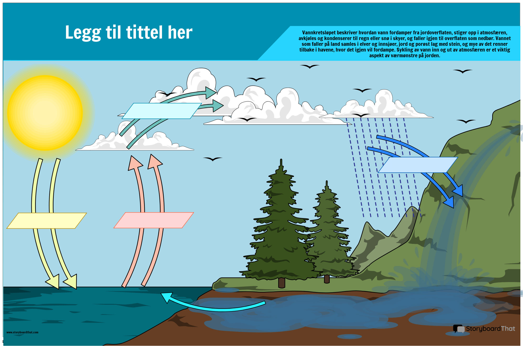 The Water Cycle Science-plakat Storyboard por no-examples