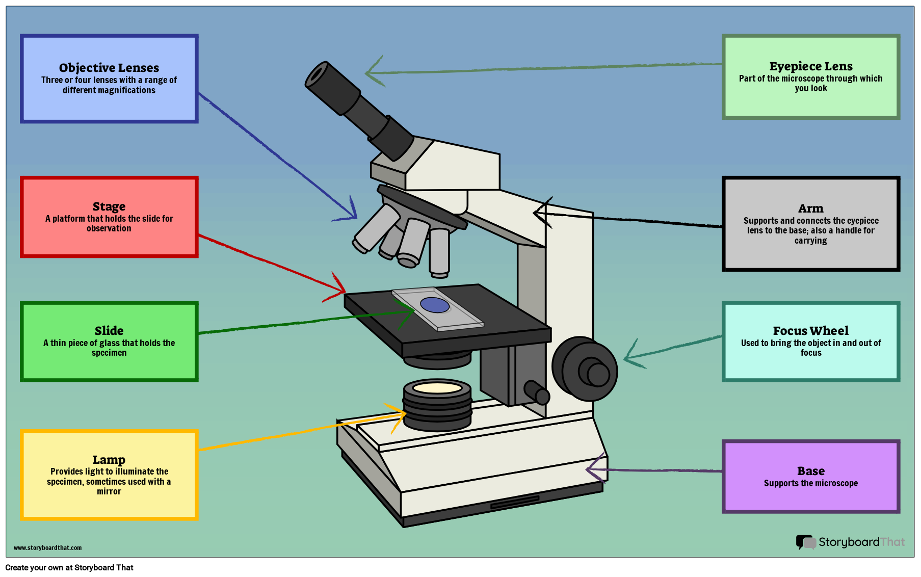Labelled Microscope With Functions Storyboard By Oliversmith