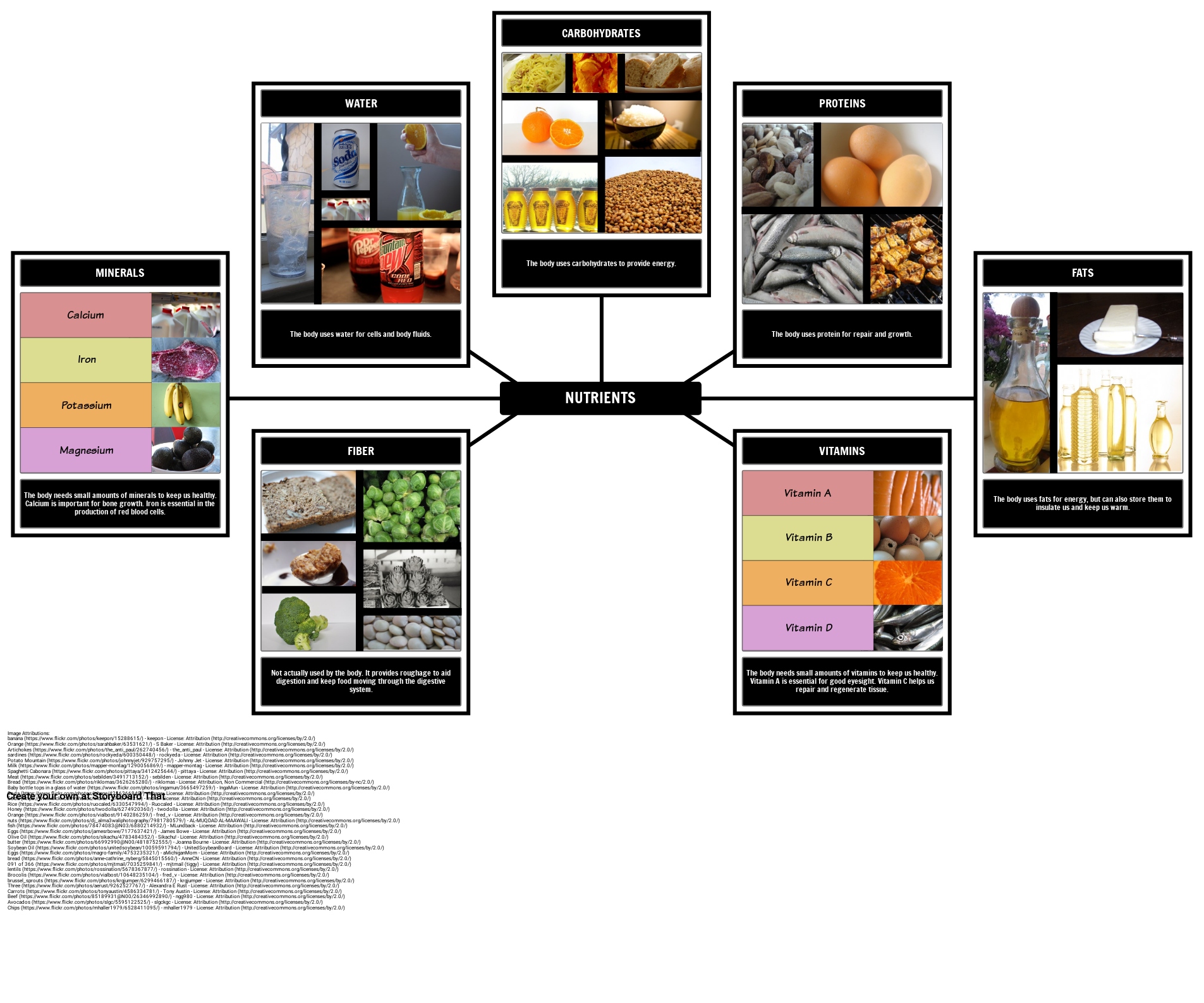 Nutrition & Food Sciences | Essential Nutrients |Food Groups