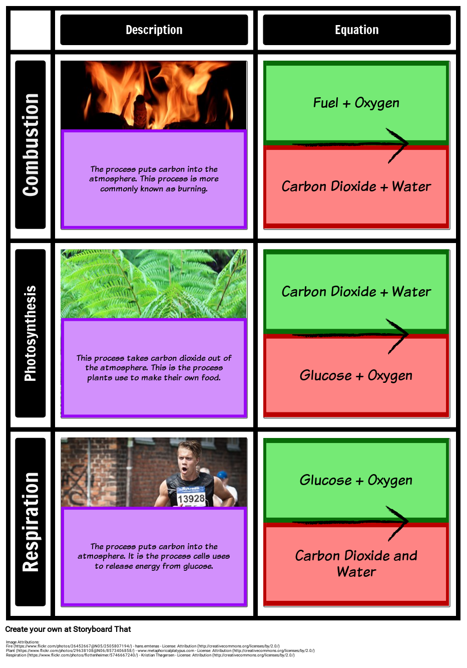Processes In The Carbon Cycle Grid Storyboard Von Oliversmith processes-in-the-carbon-cycle-grid-storyboard-von-oliversmith
