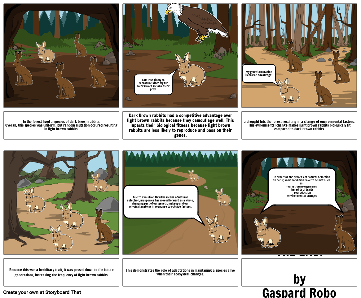 bunny Storyboard por pevans6