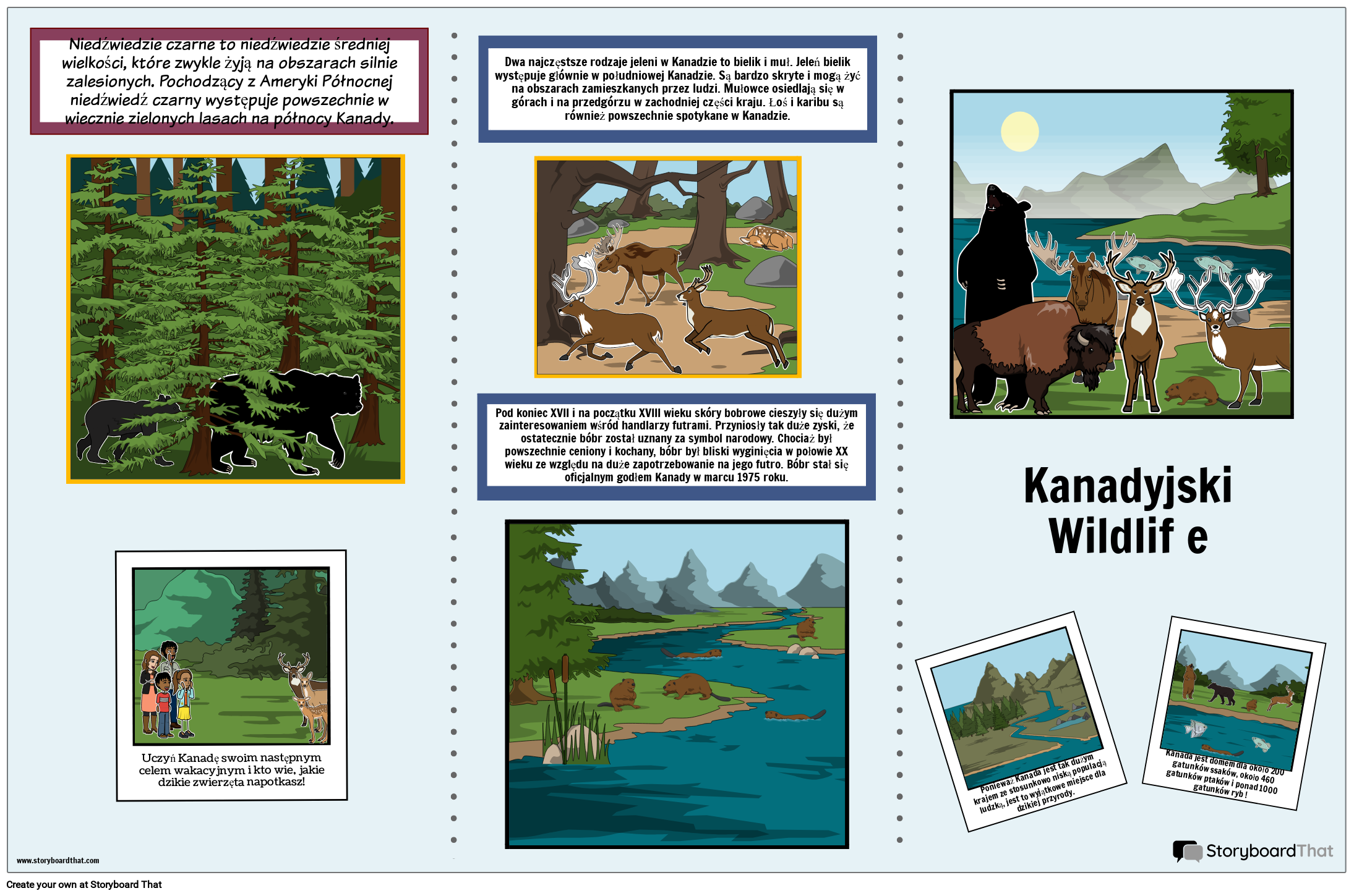 Kanada Nature and Wildlife Storyboard by pl-examples