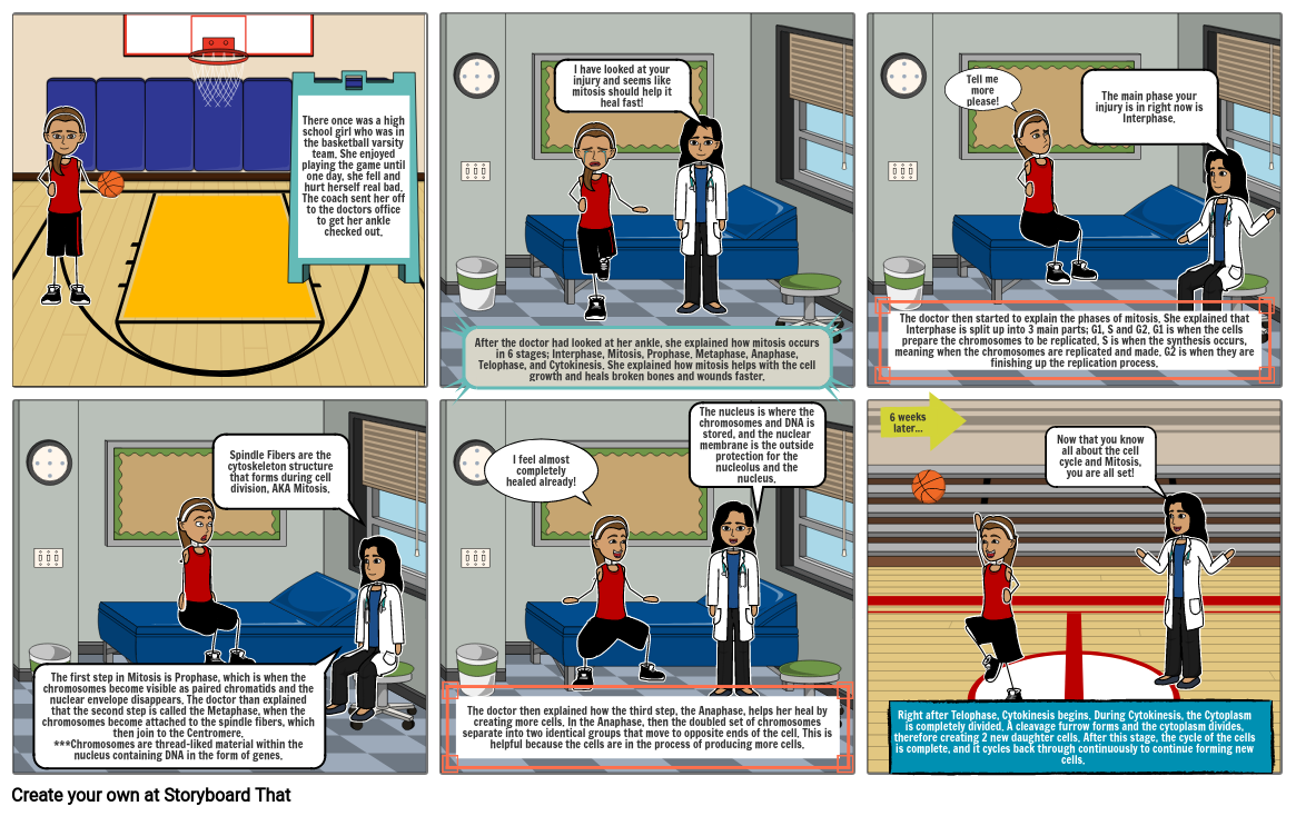 Mitosis Storyboard by prodri03