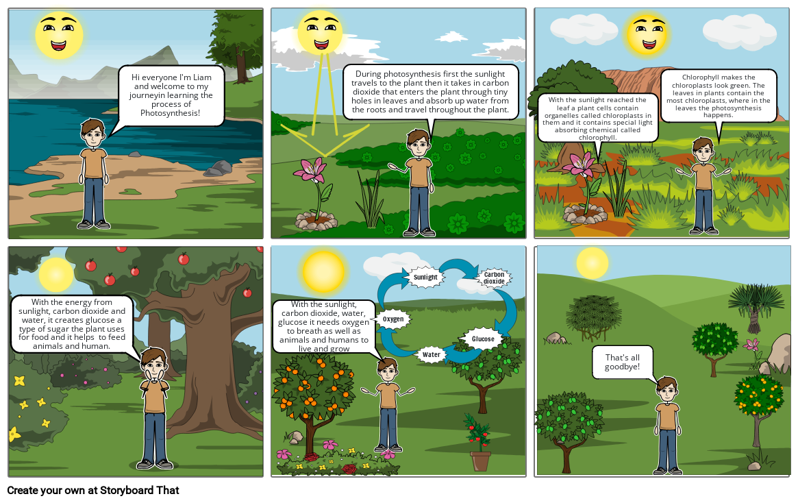 COMIC STRIP ON PHOTSYNTHESIS Storyboard by ragurock