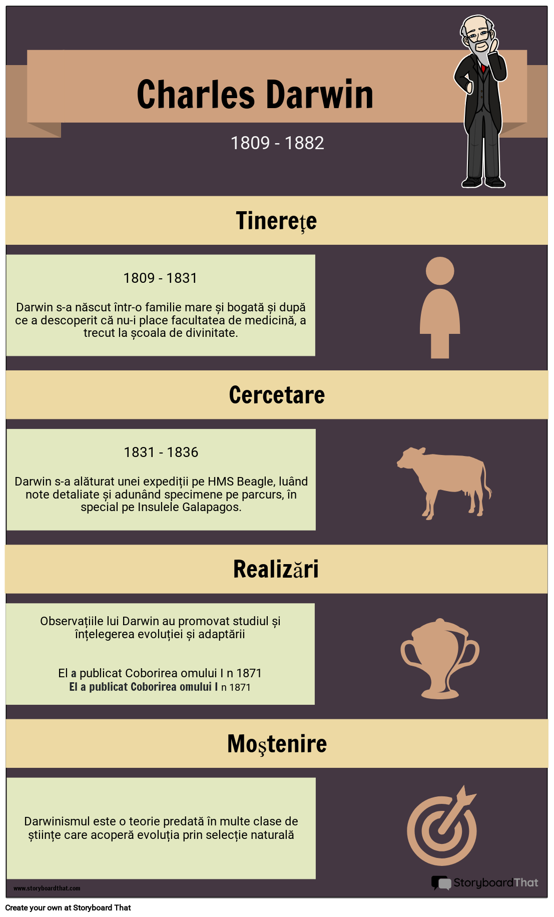 Exemplu Infografic De Istorie القصة المصورة من قبل Ro Examples