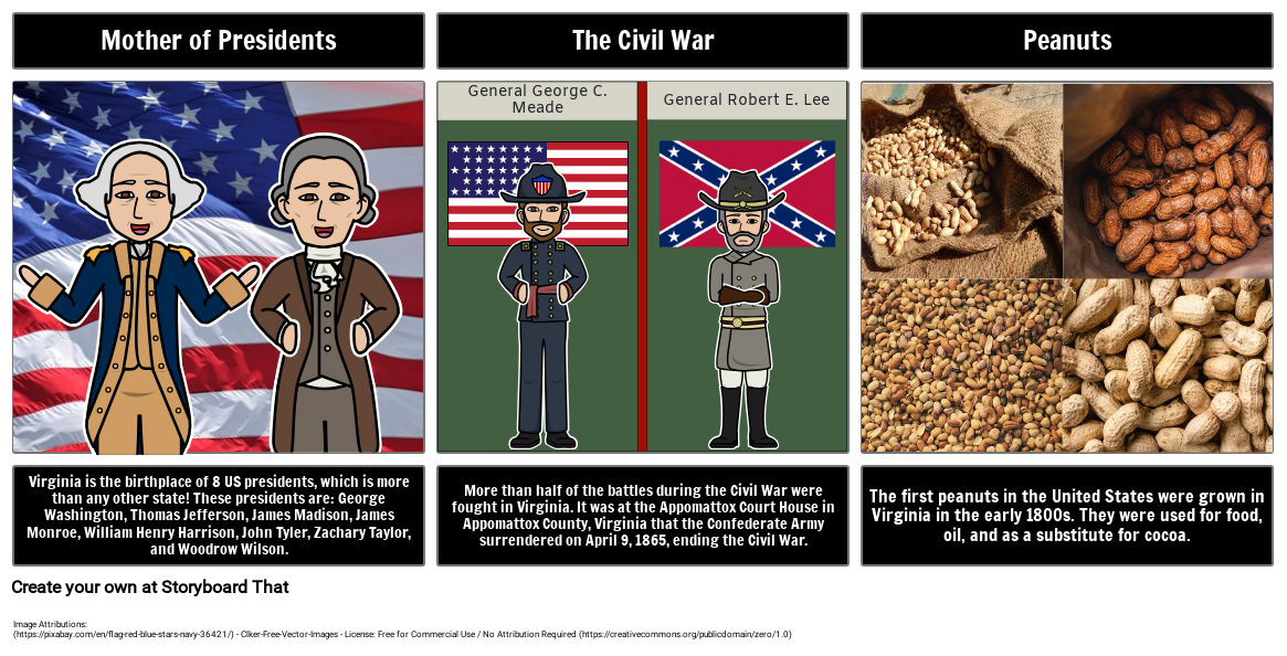 Fapte Amuzante din Virginia Storyboard by ro-examples
