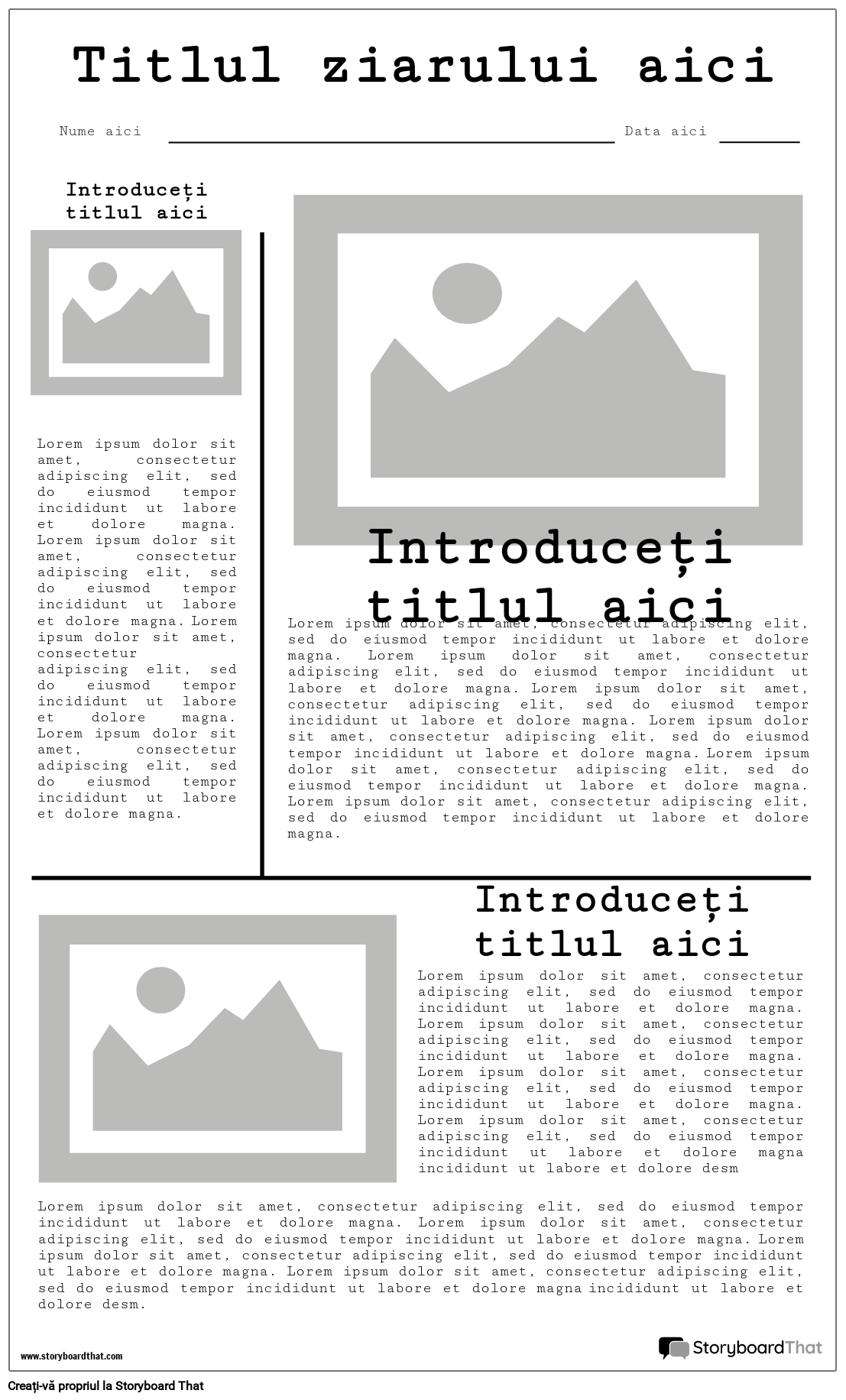 Nou Model de Ziar Pentru Crearea Paginii 1 Storyboard