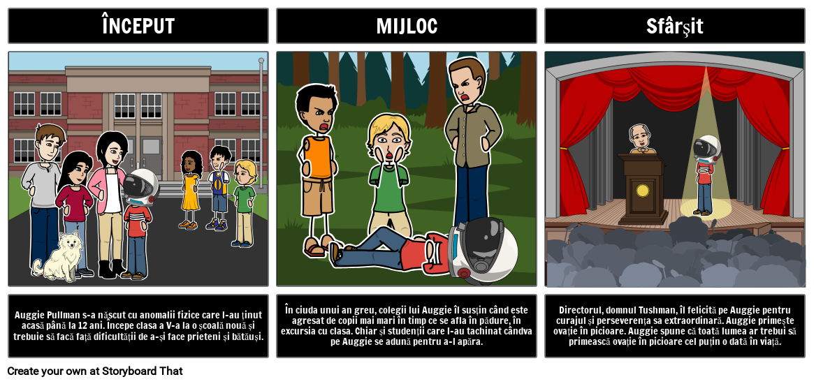 Wonder BME Rezumat Storyboard by ro-examples