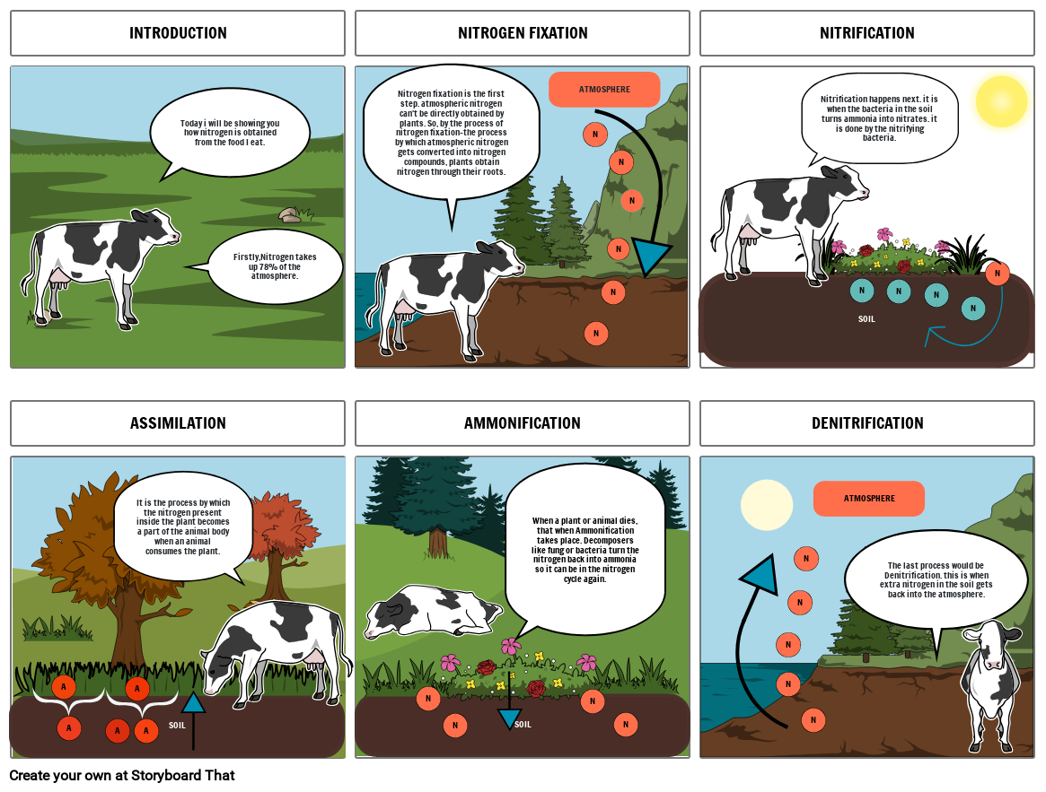 nitrogen cycle Storyboard por rumaisa35040
