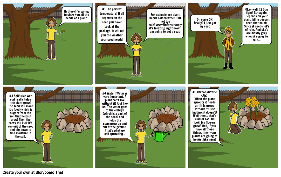 The Sprouting of a Plant Storyboard by sassybobby