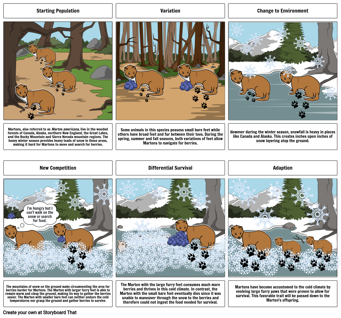 Natural Selection of Martens Storyboard by sbt_rebecca_l