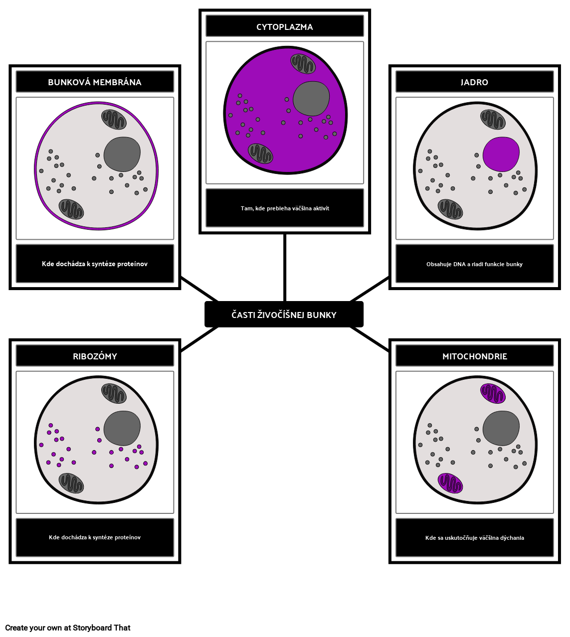 Časti Živočíšnej Bunky Storyboard by sk-examples