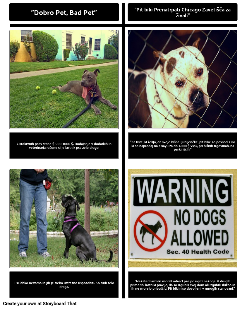 Dobro Pet, Bad Pet - Vključevanje Besedila Storyboard