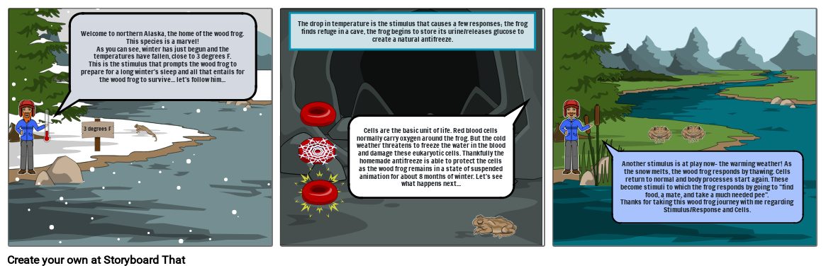 Frogsicles: Stimulus/Response and Cells Storyboard