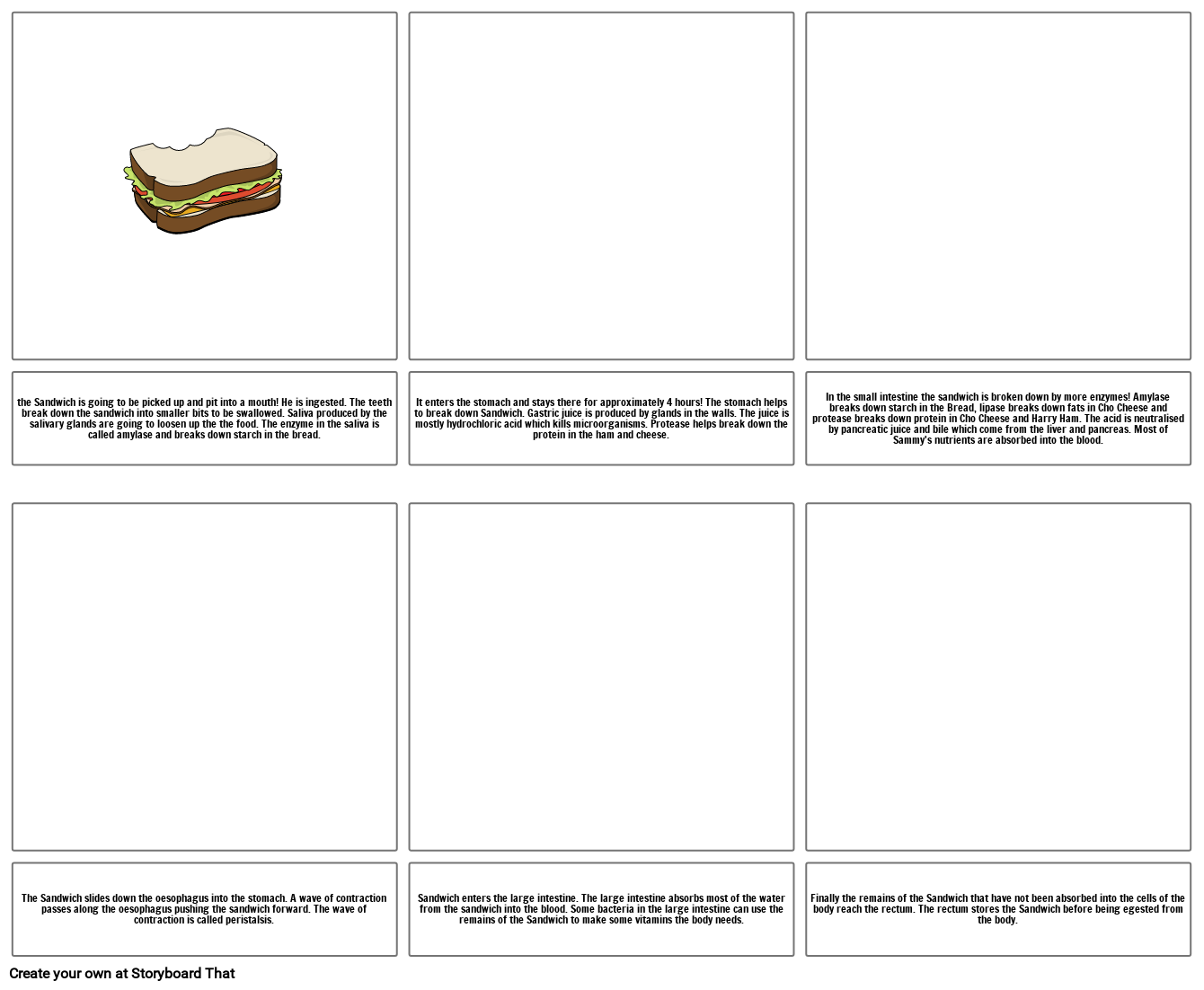 Sandwich Storyboard por stephensonmillie1
