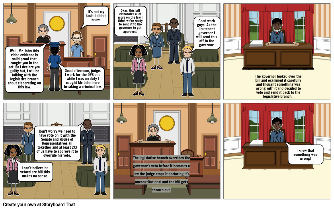 3 Branches of Government in Georgia Storyboard
