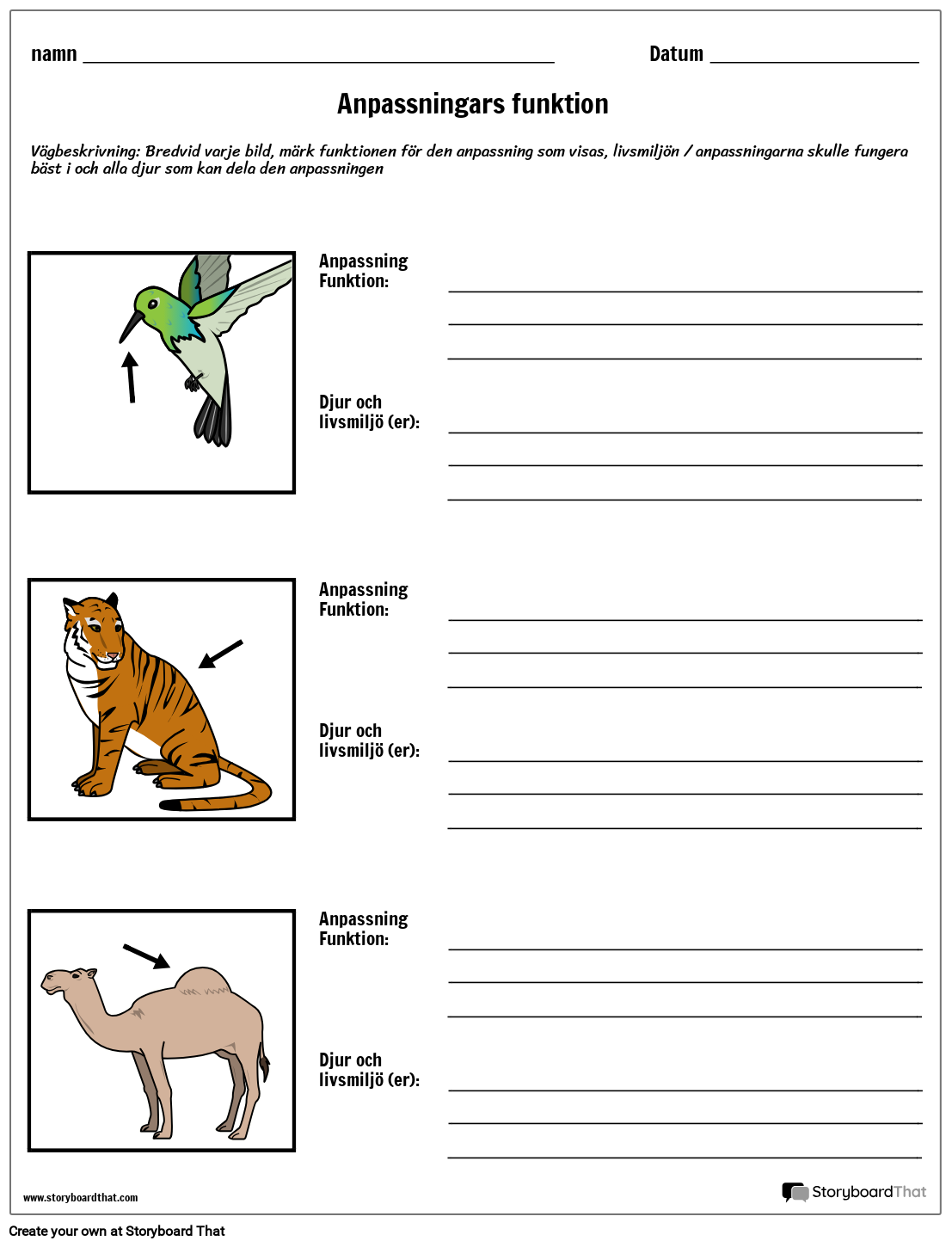 Anpassningsfunktion Arbetsblad Storyboard por sv-examples
