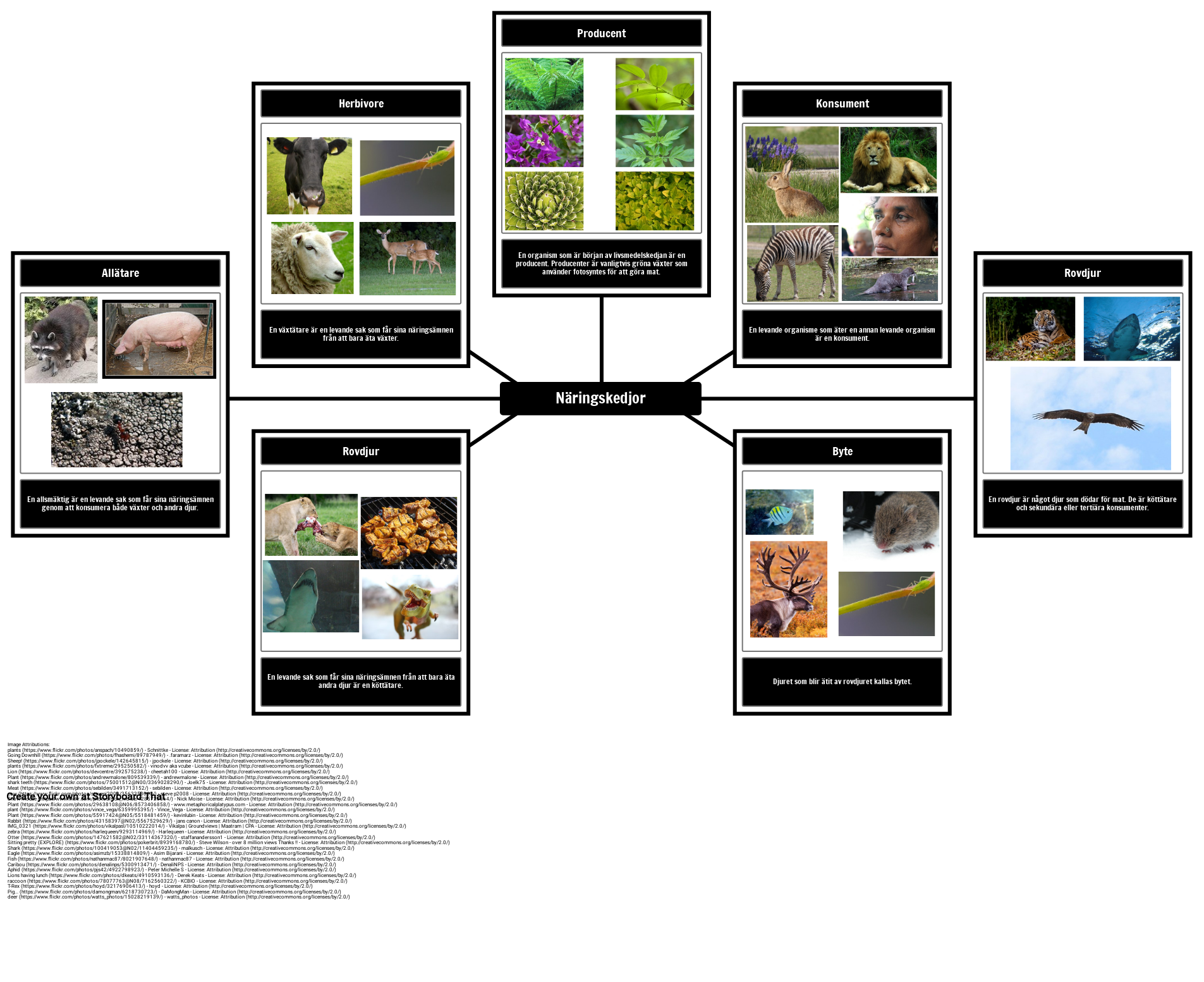 Livsmedelskedjan Ordförråd Storyboard von sv-examples