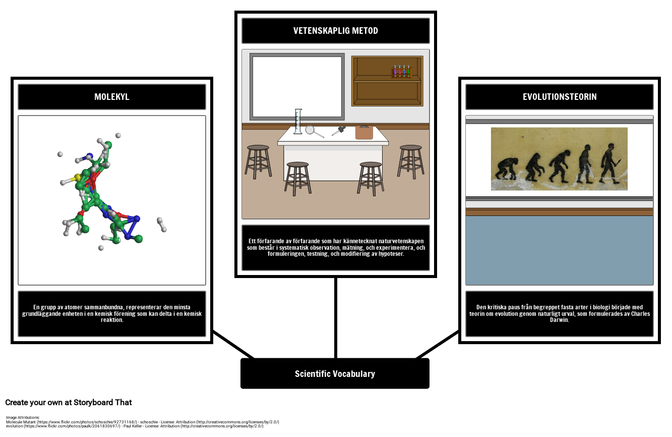 Visual Vocabulary - Science Storyboard par sv-examples