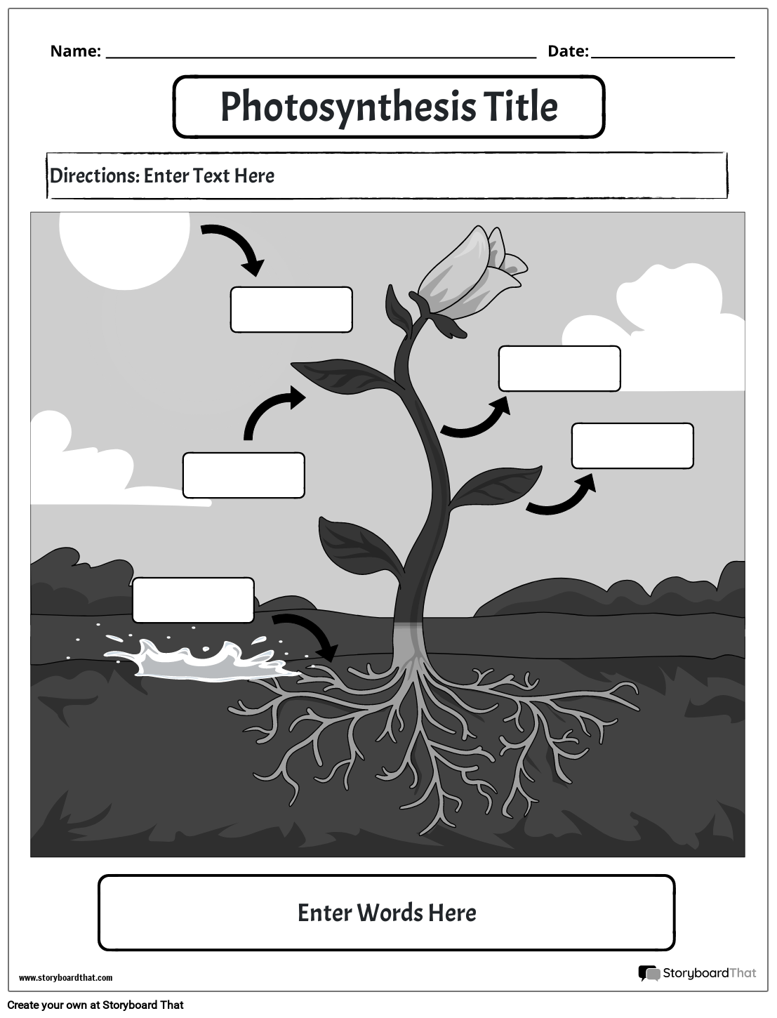 Plant’s Environment Based Photosynthesis Worksheet