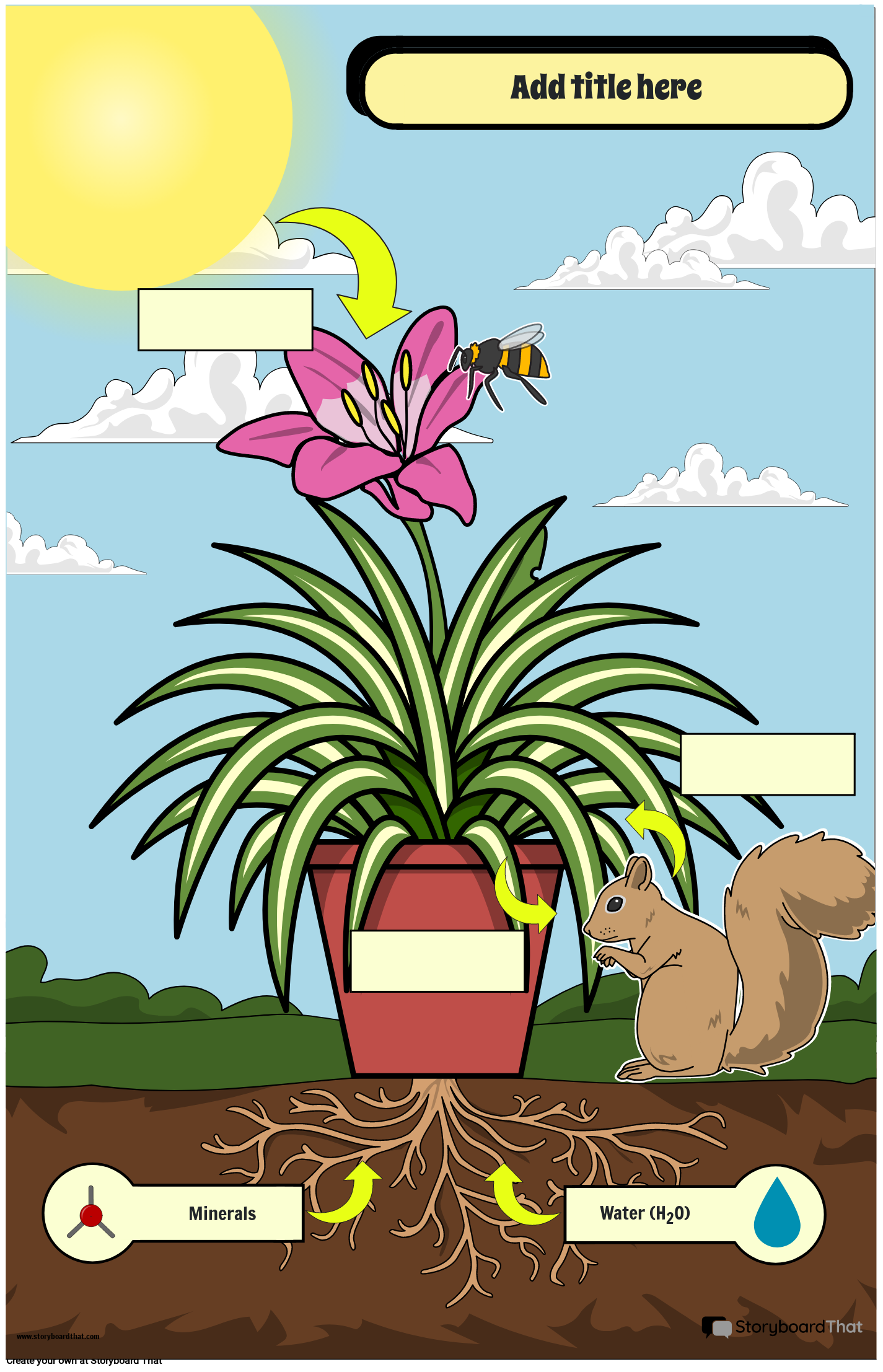 Poster Illustrating Key Components of Photosynthetic Cycle