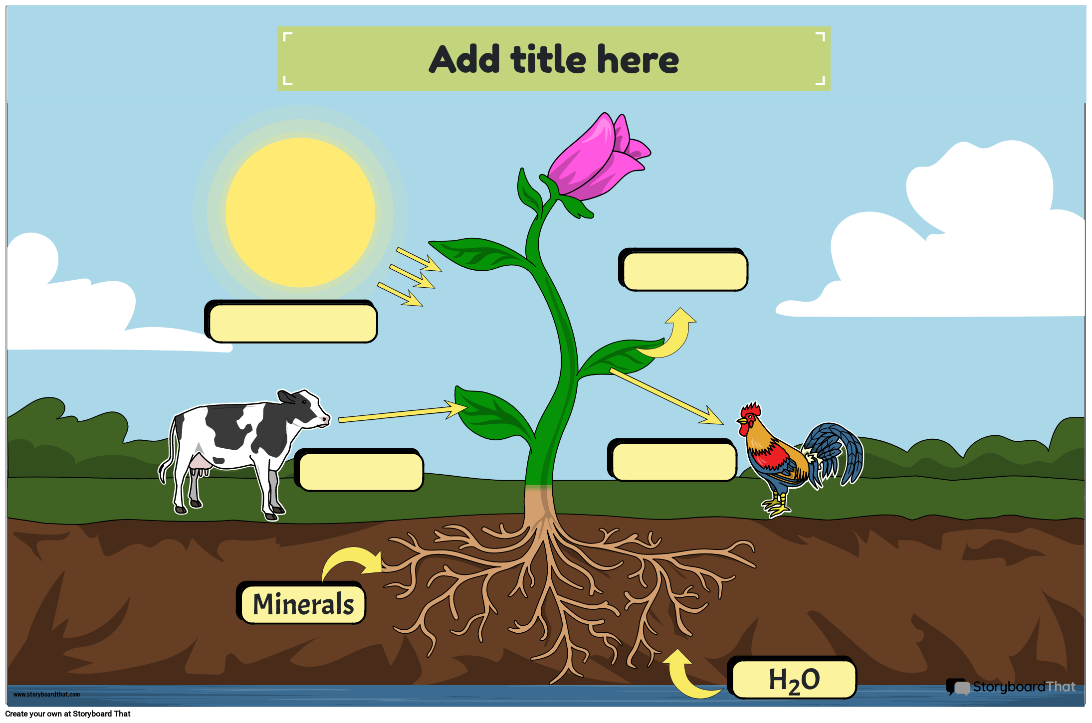 Photosynthesis Plant Parts Poster Storyboard por templates