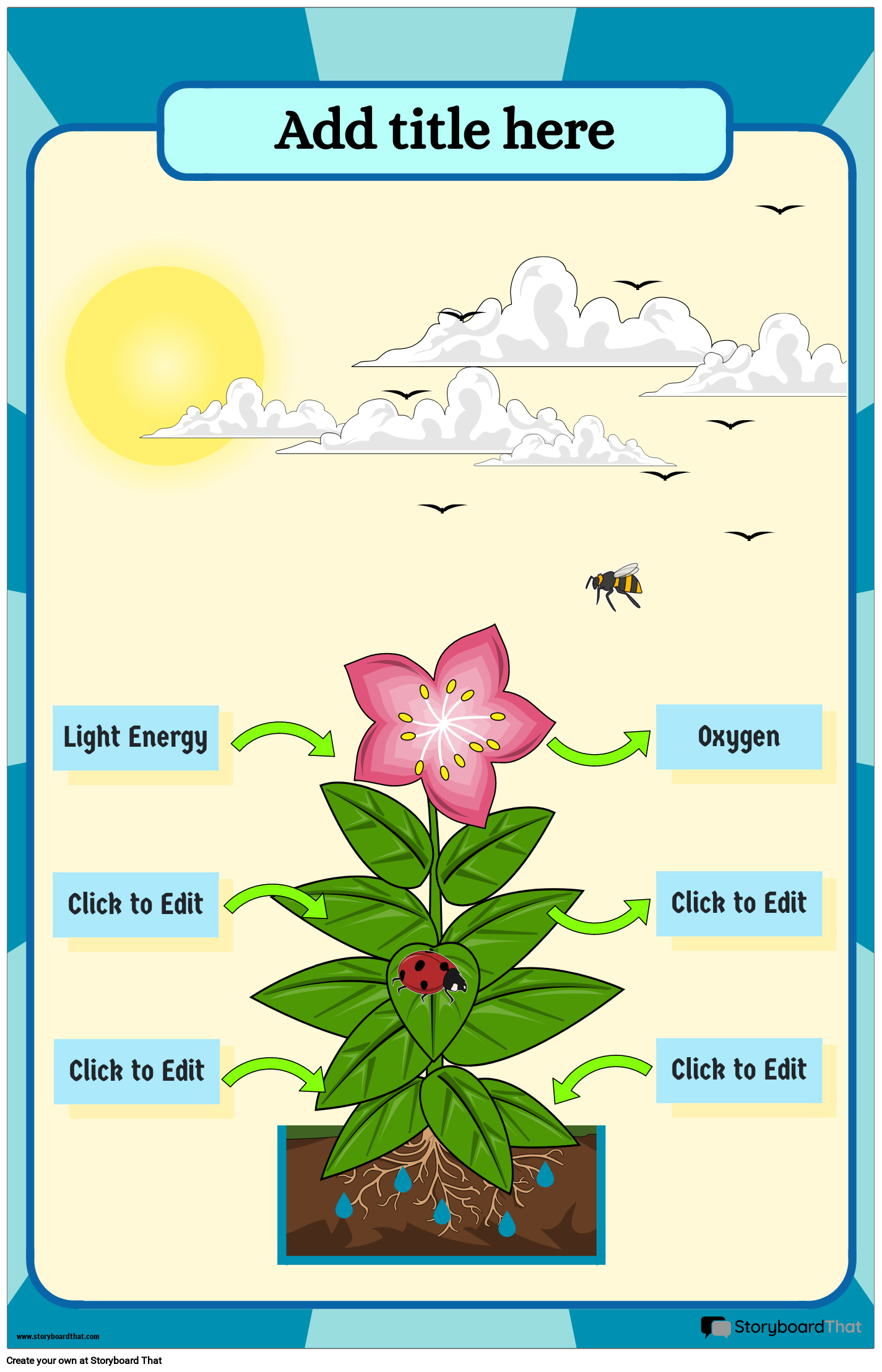 Photosynthesis and Cellular Respiration Poster