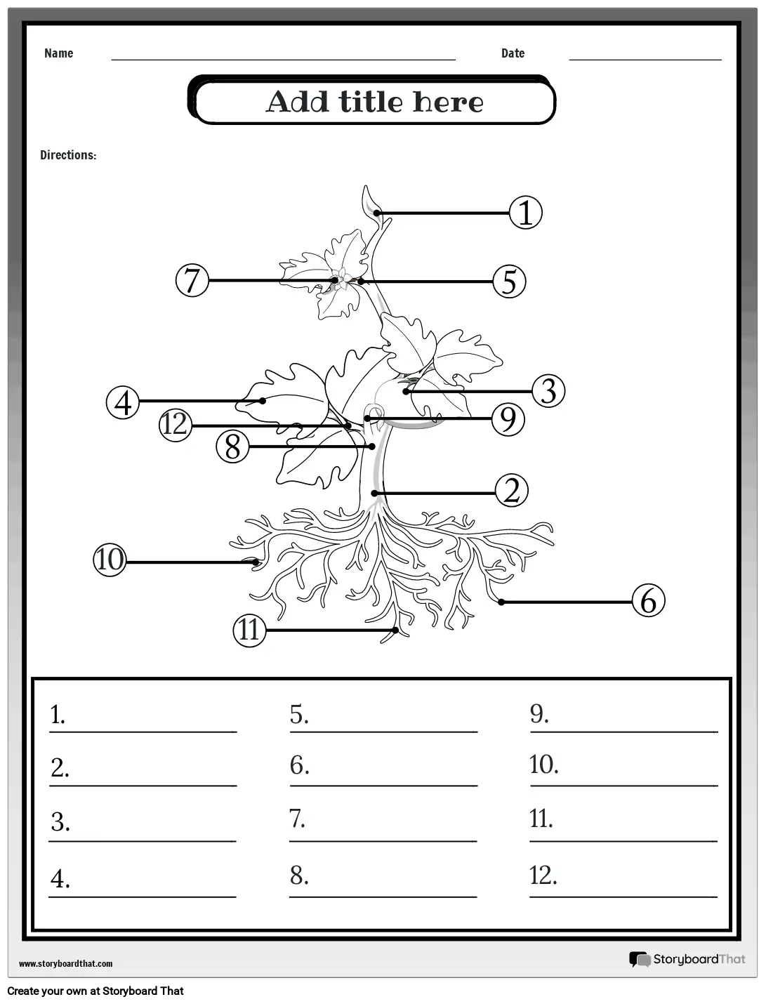 Plant's Anatomy Worksheet (Advanced) Storyboard