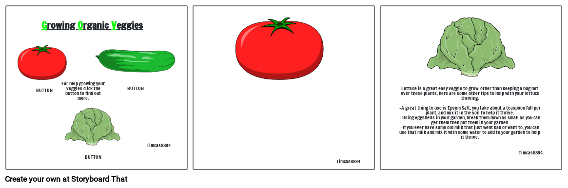 Growing Organic Veggies Storyboard por timcas