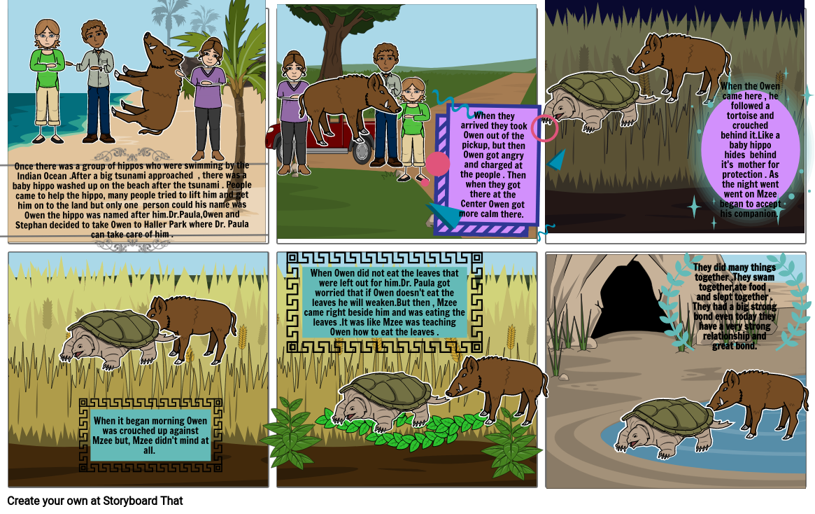 Owen and Mzee Storyboard by unicorngirl_25