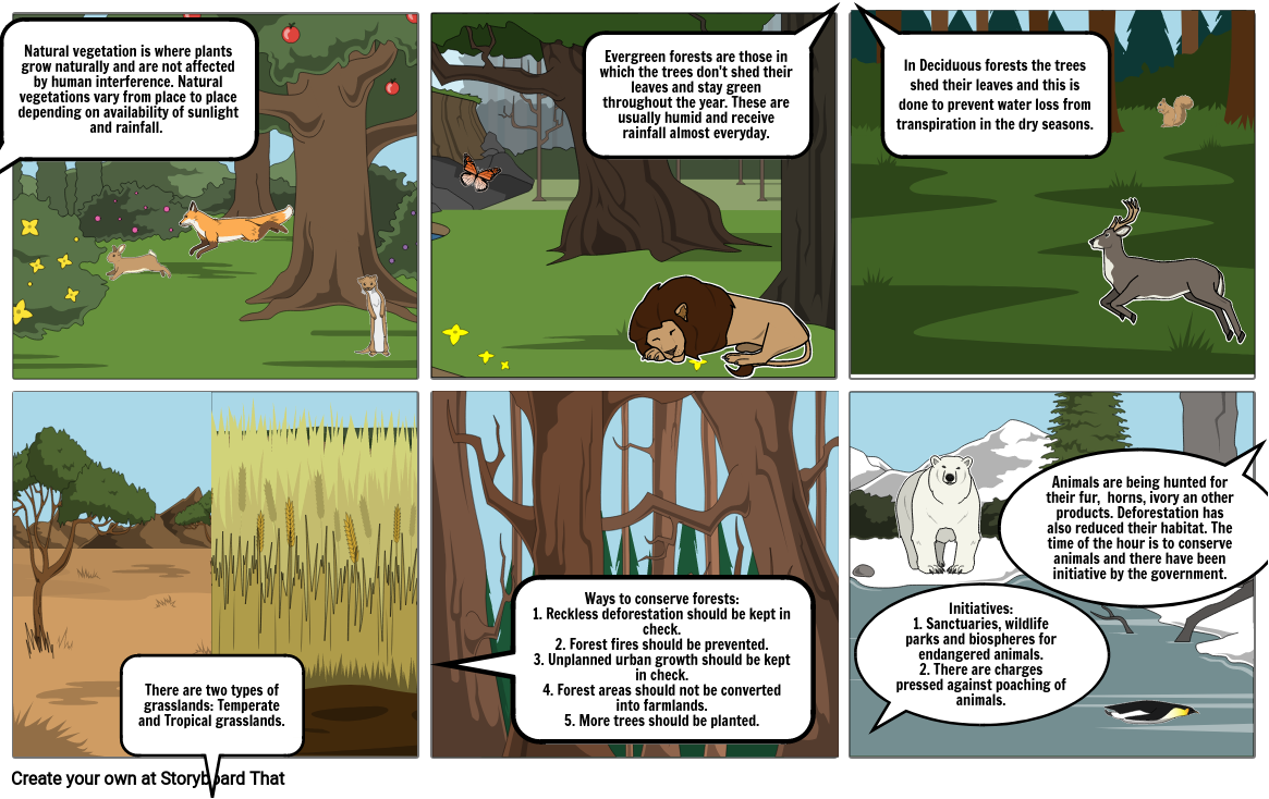 Natural Vegetation Storyboard par vanishri